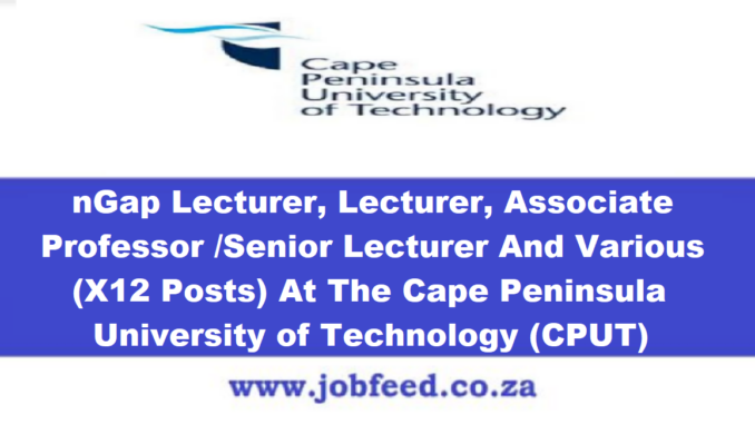 CPUT Vacancies 2024: X6 Posts @www.cput.ac.za » Jobfeed.co.za