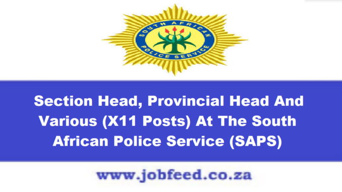 SAPS Vacancies 2024: X11 Posts @www.saps.gov.za » Jobfeed.co.za